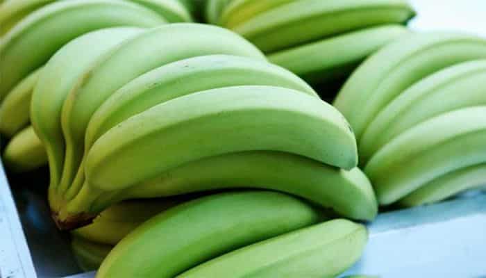 Platano | taleoi.com