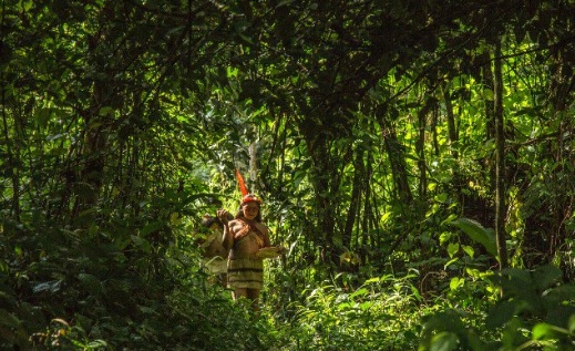 Huitoto | taleoi.com